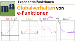 Grenzverhalten von e-Funktionen